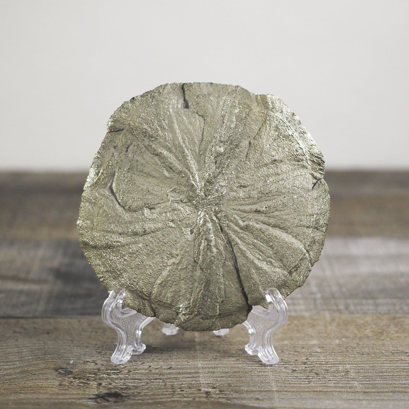 Shimmering Pyrite Sun C (Natural Formation) – The Triceratory